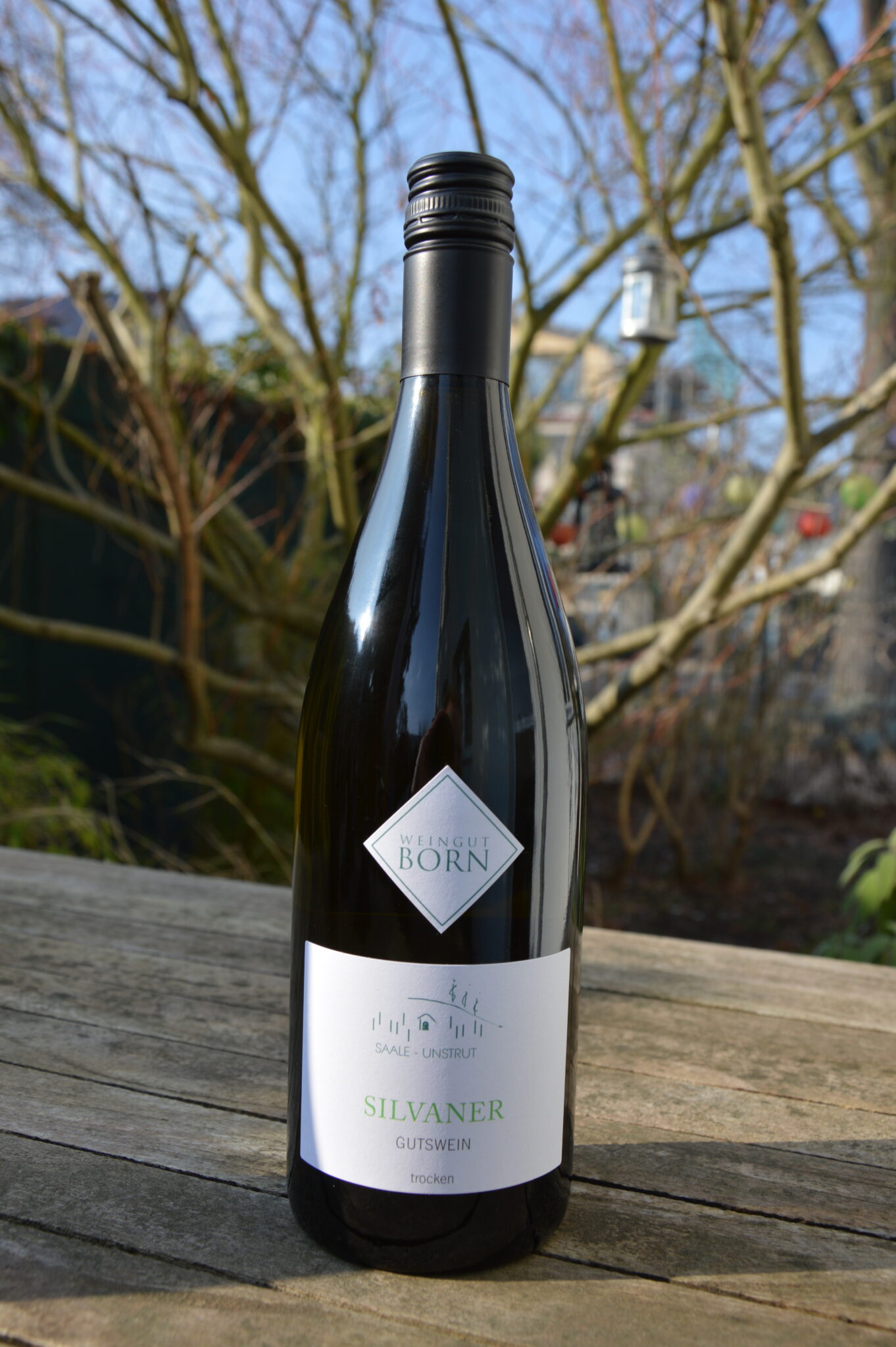 Weingut Pawis - Wannseewein